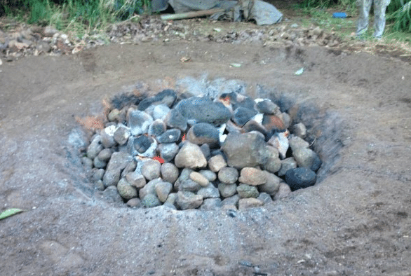 Hot Hawaii Houses - Terrawatt